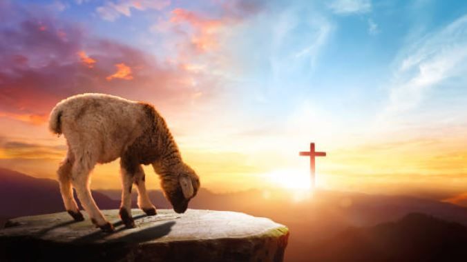 Why the Lamb? Understanding God's Perfect Sacrifice in the Bible