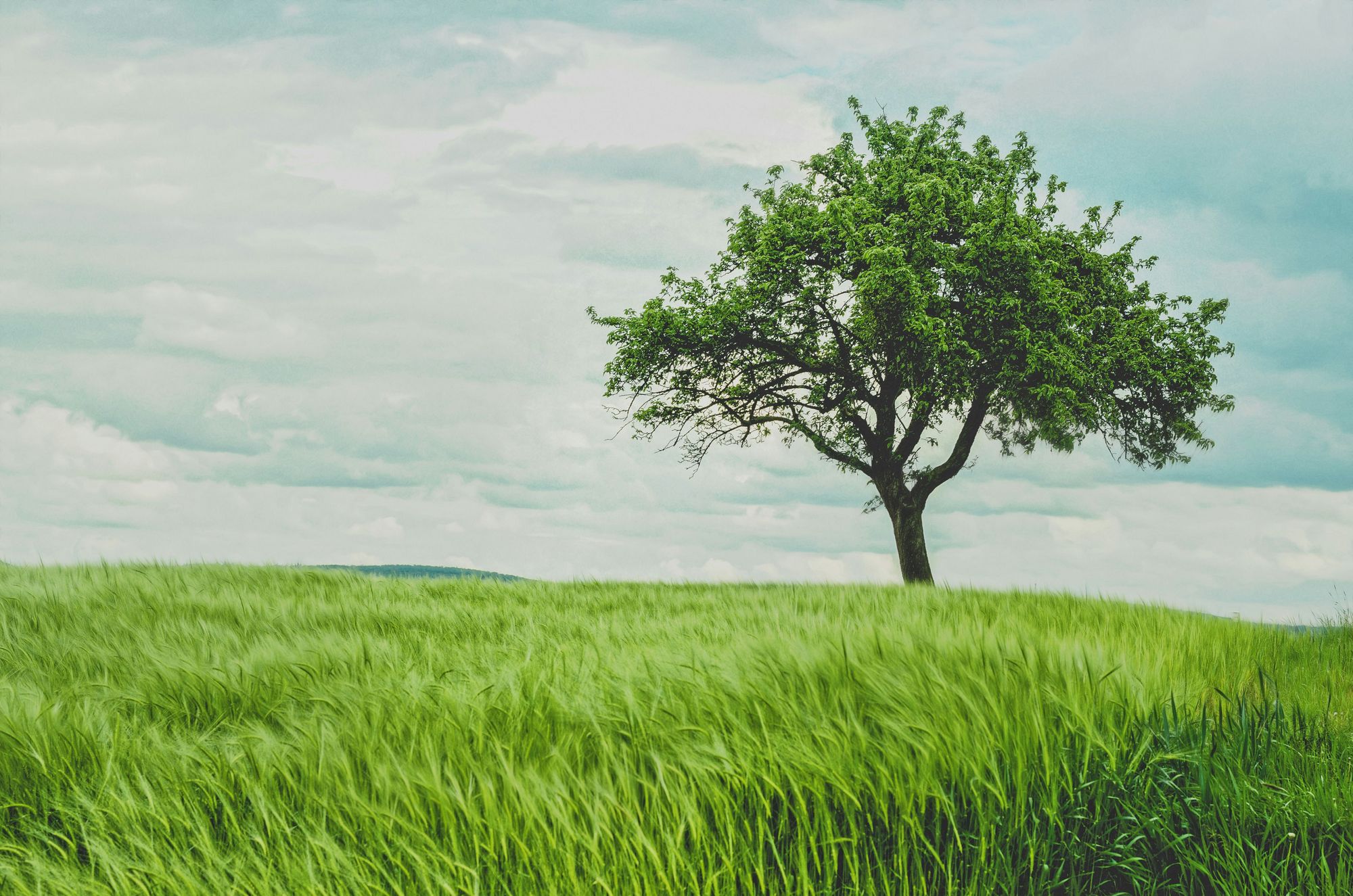 What Was Jacob's Ladder in John 1:51?
